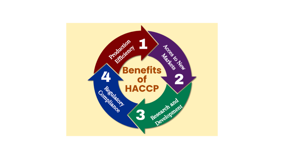12 Step Guide for Successful Implementation of HACCP